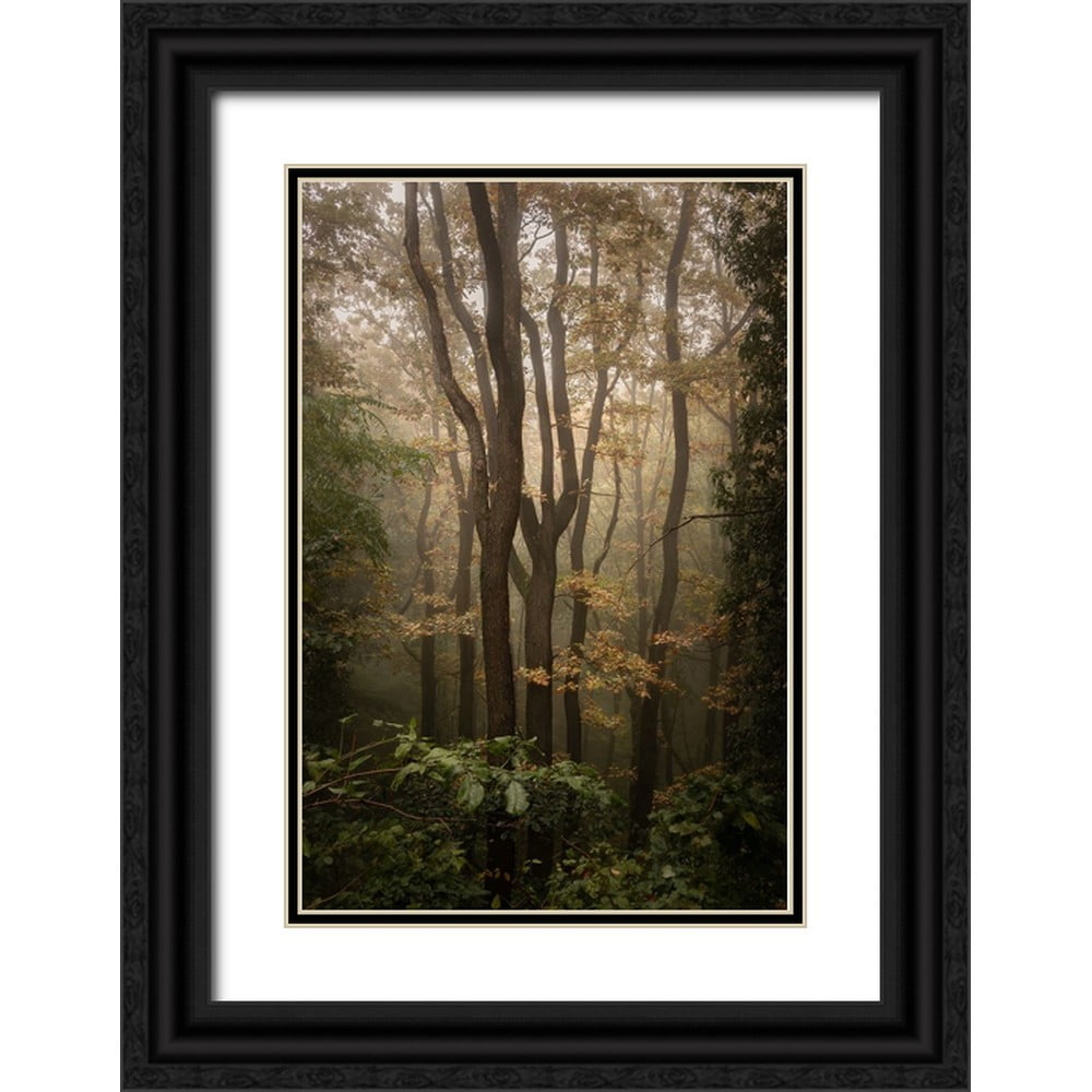 Tomic, Tomislav 11x14 Black Ornate Wood Framed with Double Matting Museum Art Print Titled ...
