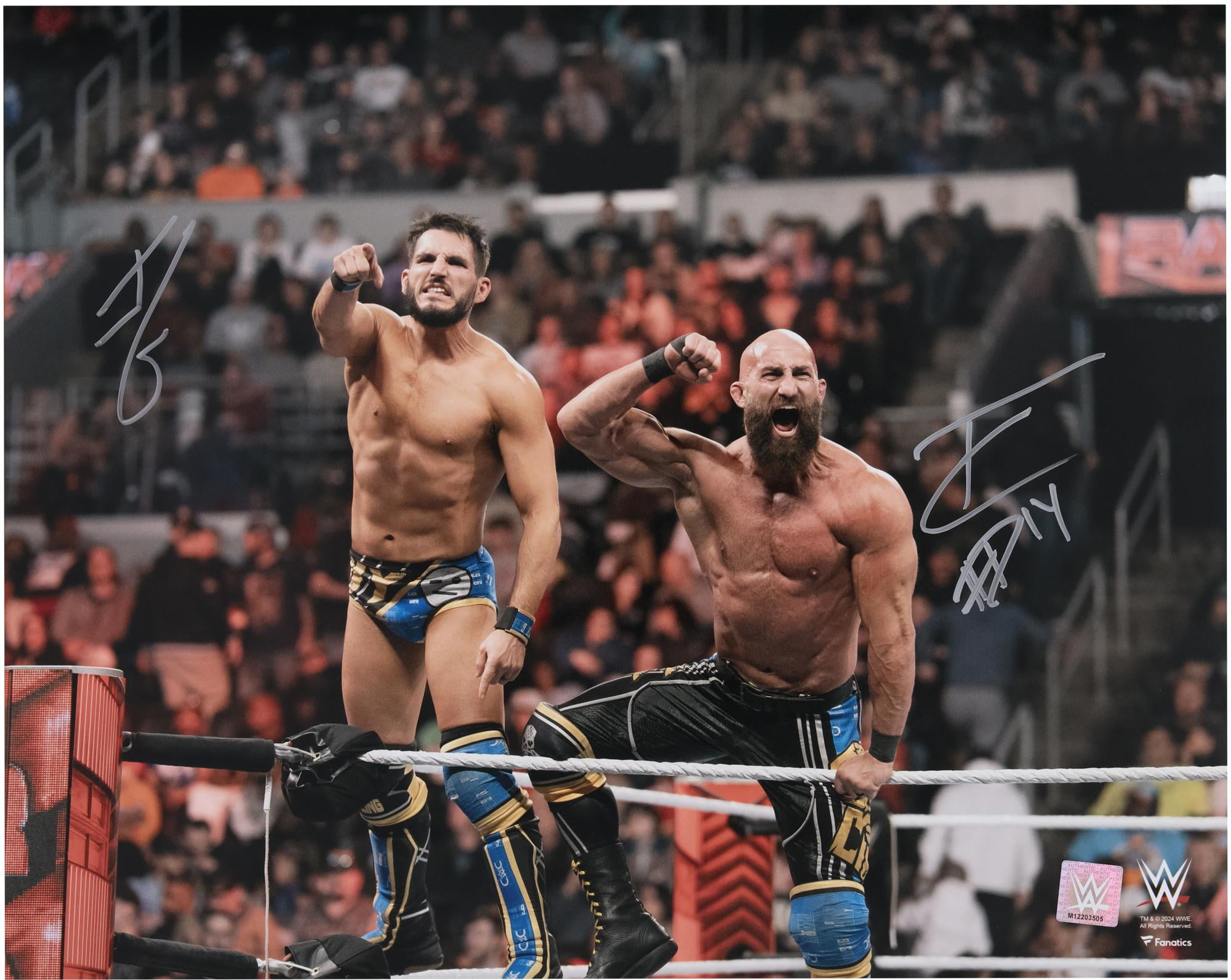 Tommaso Ciampa & Johnny Gargano WWE Autographed 16" x 20" DIY Entrance Photograph - Fanatics ...