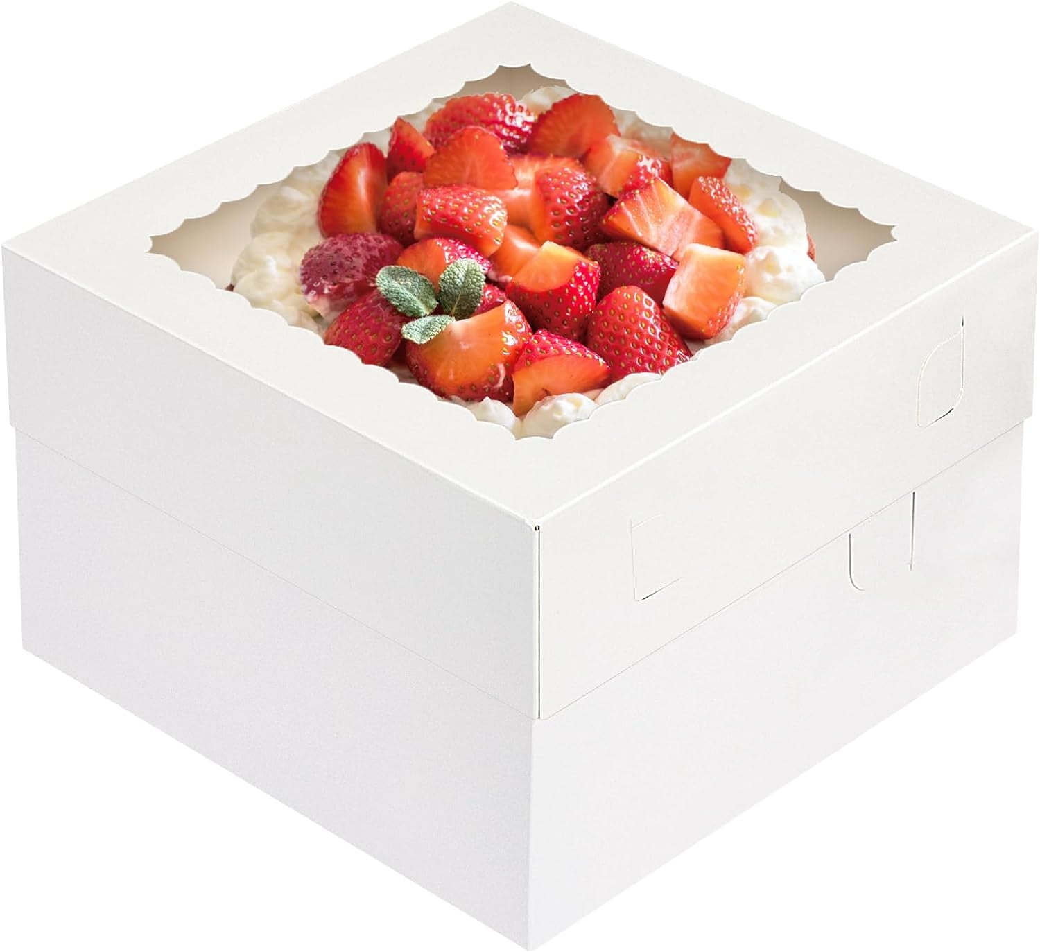 Tomnk 10pcs Cake Boxes 12x12x8 Inch White Bakery Boxes with Window Tall ...