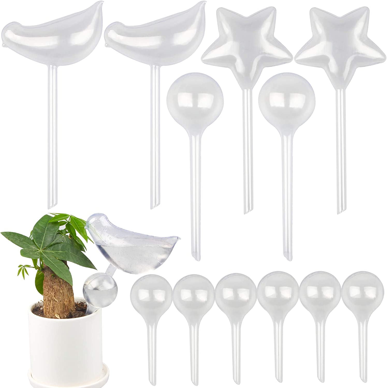 Tomorotec Clear Self-Watering Bulb Set, Transparent Plant Automatic ...