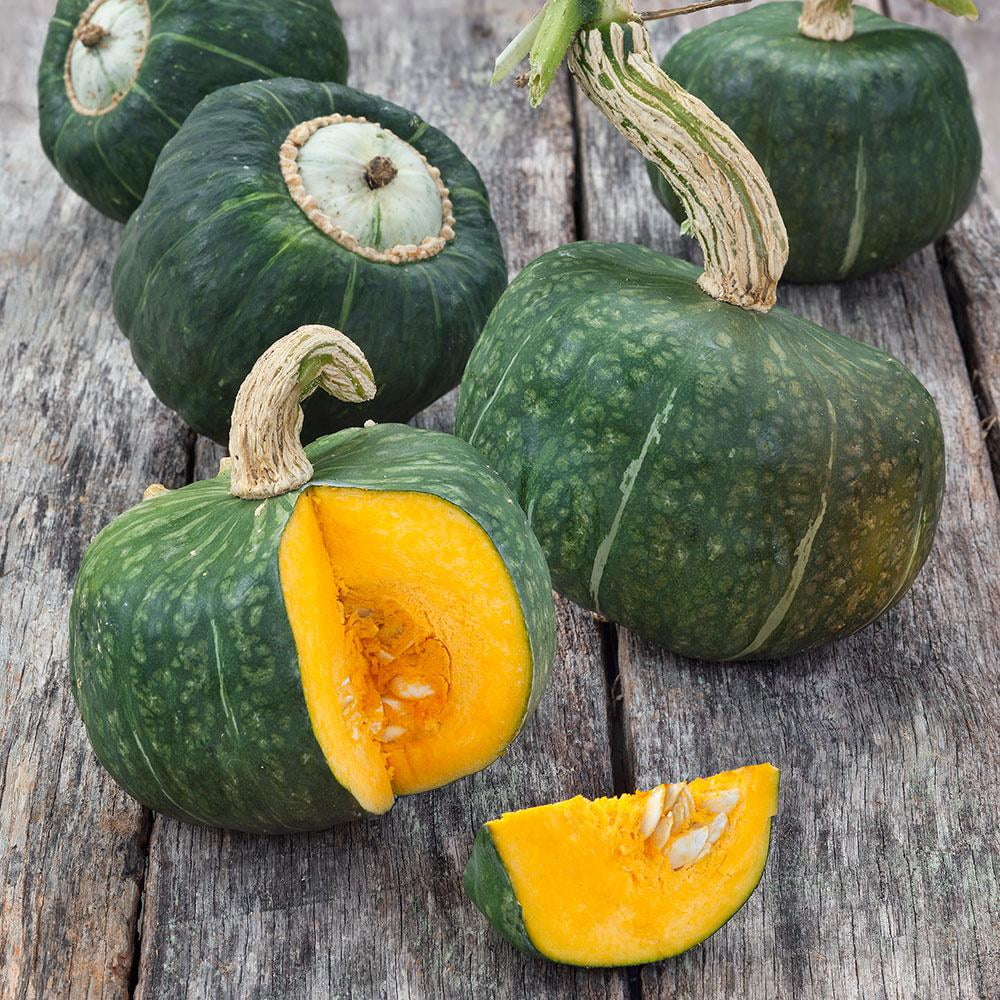 TomorrowSeeds - Burgess Buttercup Squash Seeds - 20+ Count - For 2025 ...
