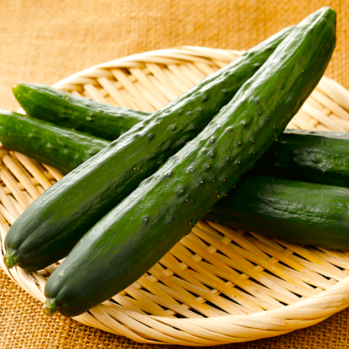 TomorrowSeeds - Japanese Long Burpless Cucumber Seeds - 90+ Count ...