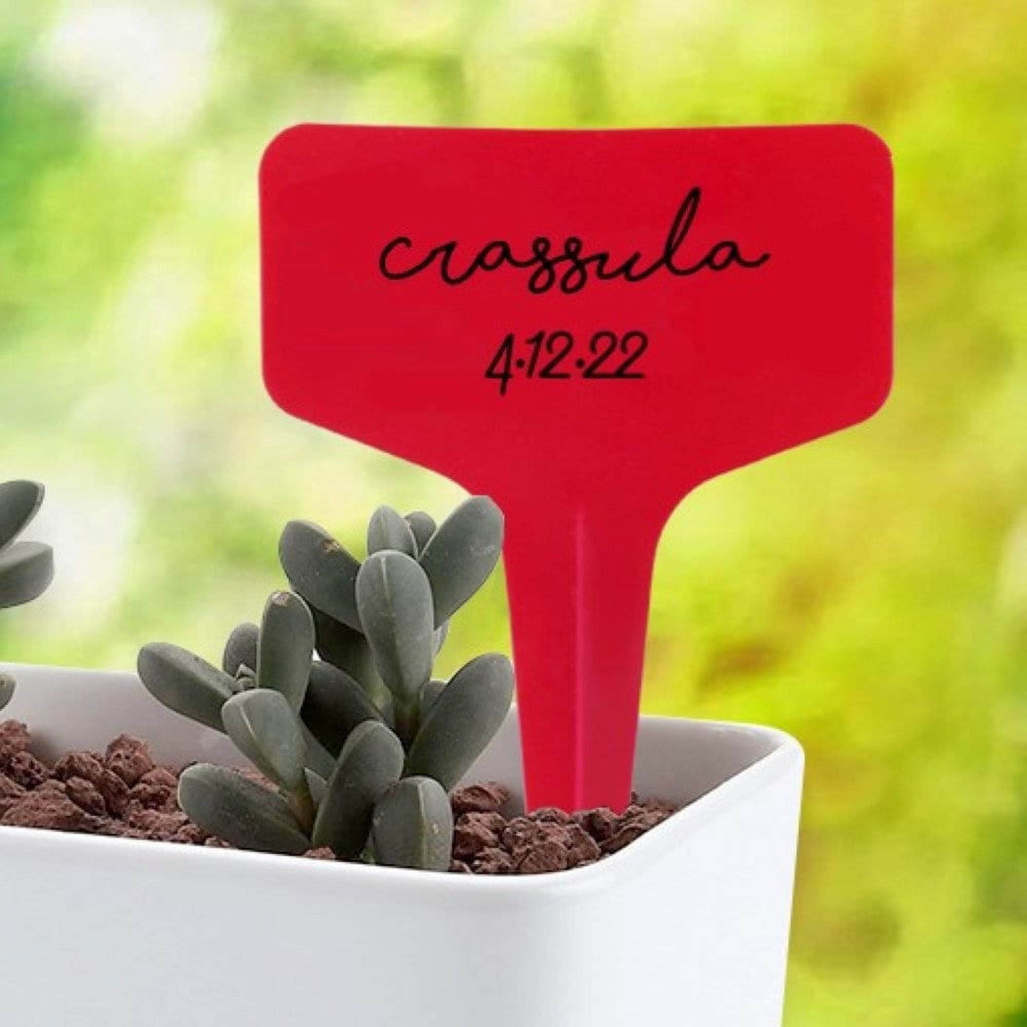 TomorrowSeeds - Red T-Shaped Plant Labels - 20 Labels - Garden Stake ...