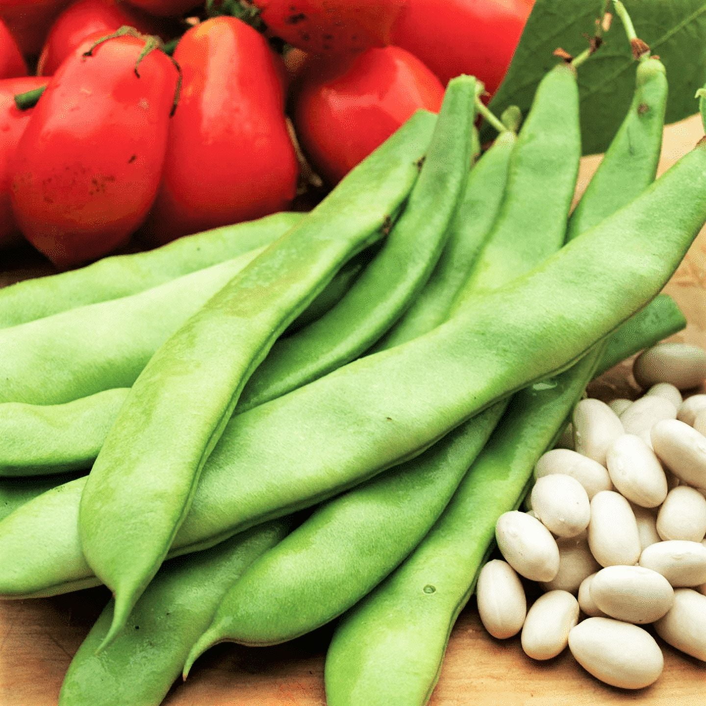 TomorrowSeeds - Roma II Romano Bean (Bush) Seeds - 30+ Count - For 2026 ...