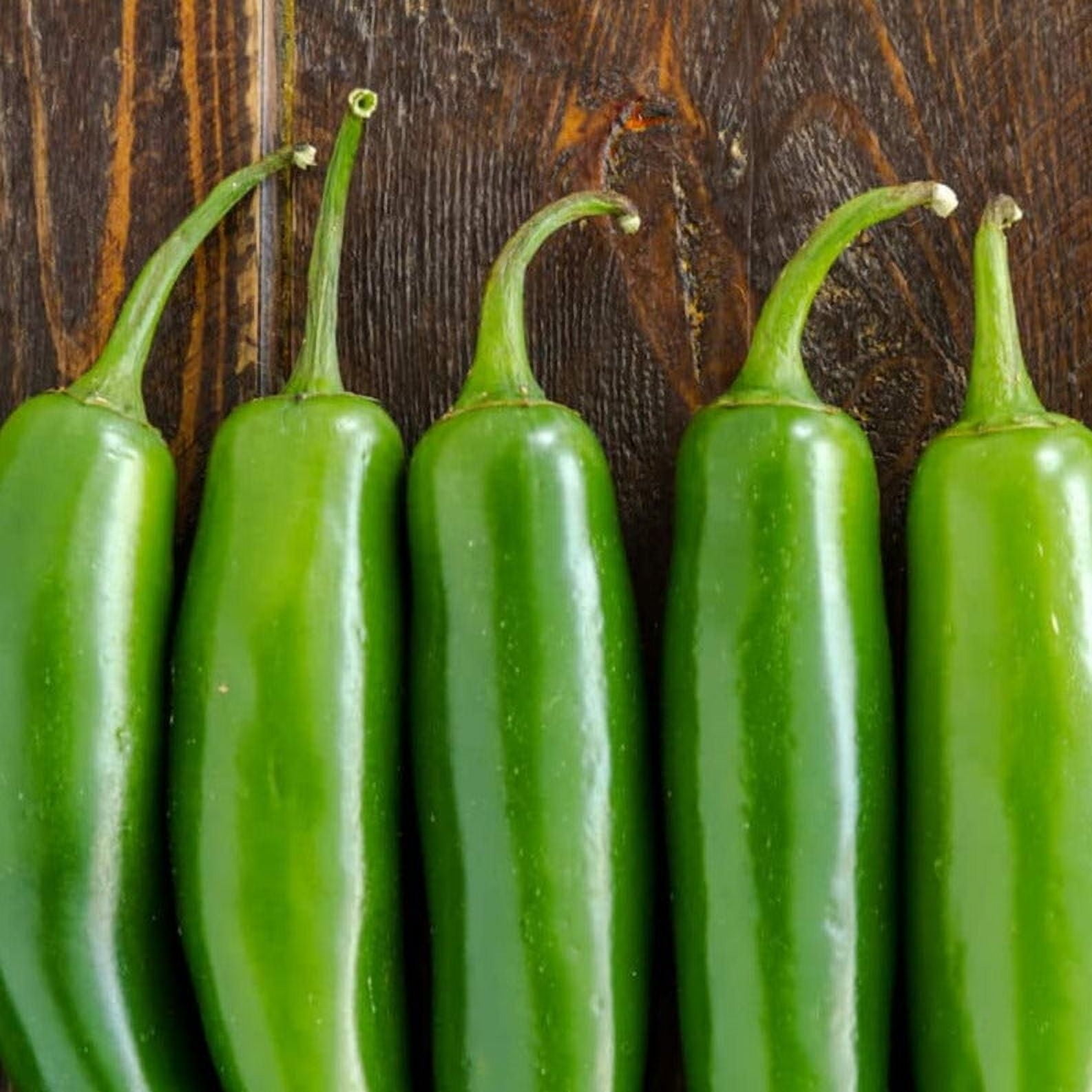 TomorrowSeeds - Serrano Pepper Seeds - 600+ Count - For 2026 Planting ...