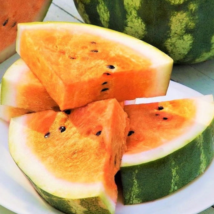 TomorrowSeeds - Tendersweet Orange Watermelon Seeds - 60+ Count - For ...