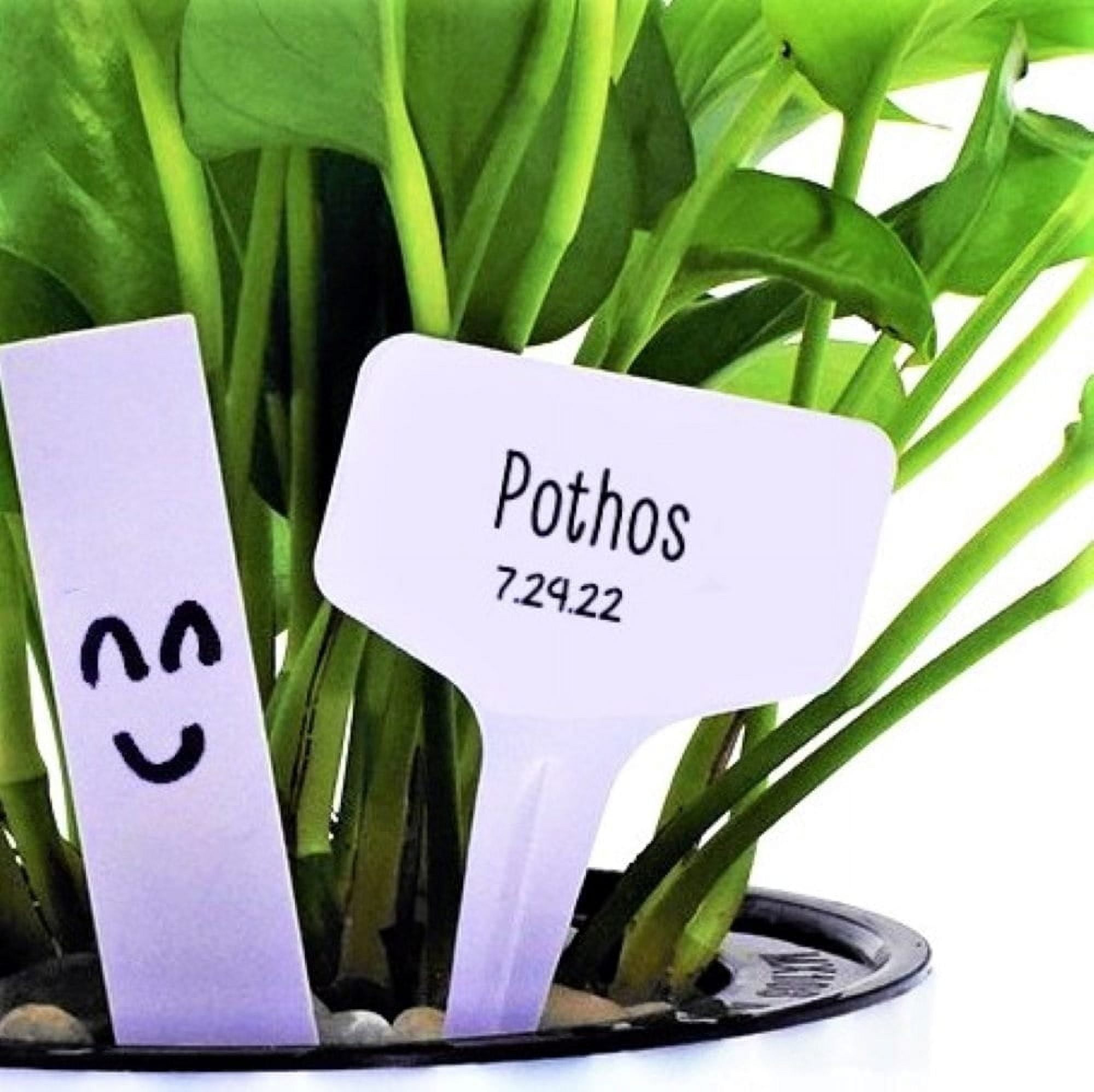 TomorrowSeeds - White T-Shaped Plant Labels - 20 Labels - Garden Stake ...