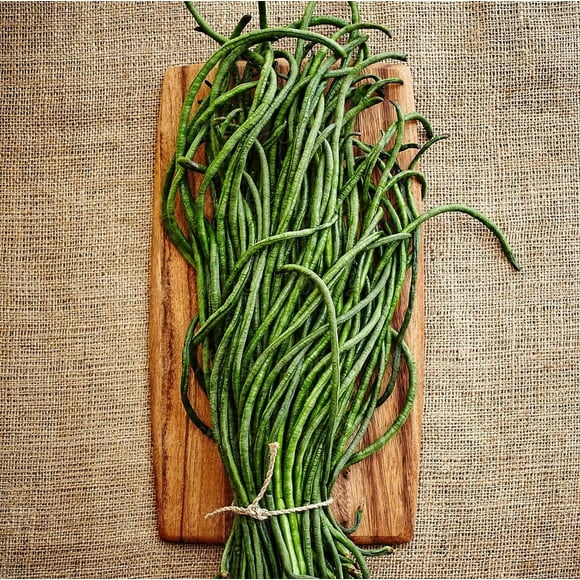 Pea Seeds in Seed Gardening - Walmart.com