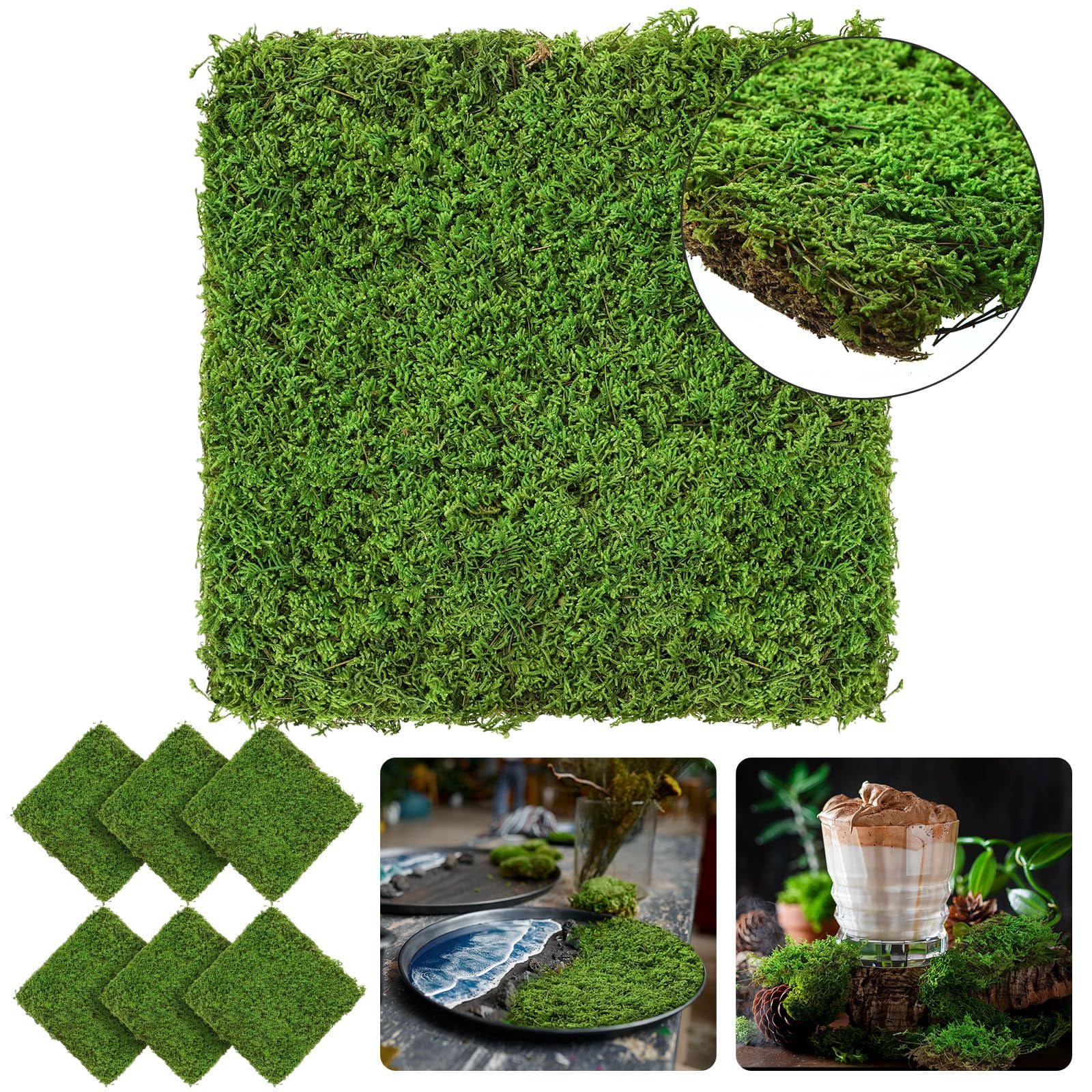 Tondiamo 6 Sq. Ft. Preserved Natural Sheet Moss for Plants Dried Moss ...