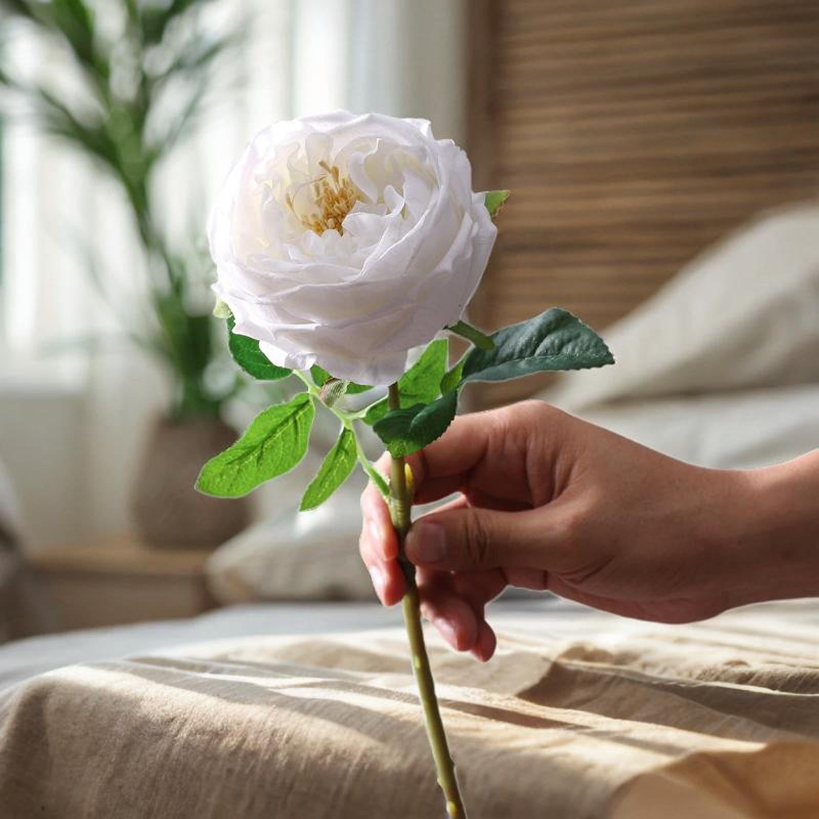 Tongina Artificial Rose Flower Long Stem Rose Flower Forever Preserved ...
