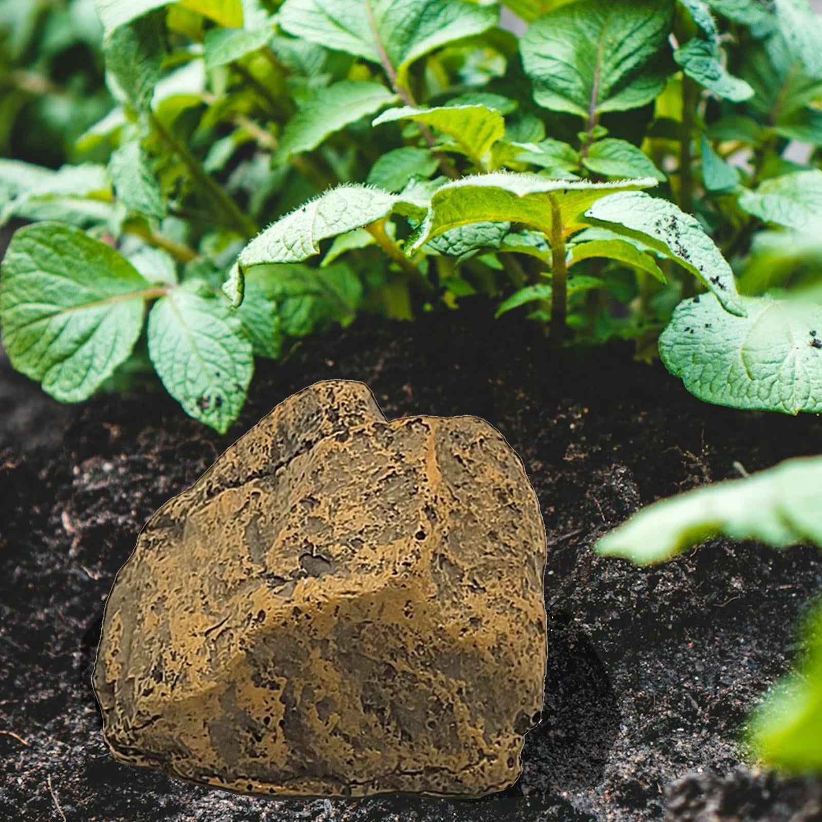 Tongina Key Fake Rock, Spare Key Storage Holder, Decorative, Real ...