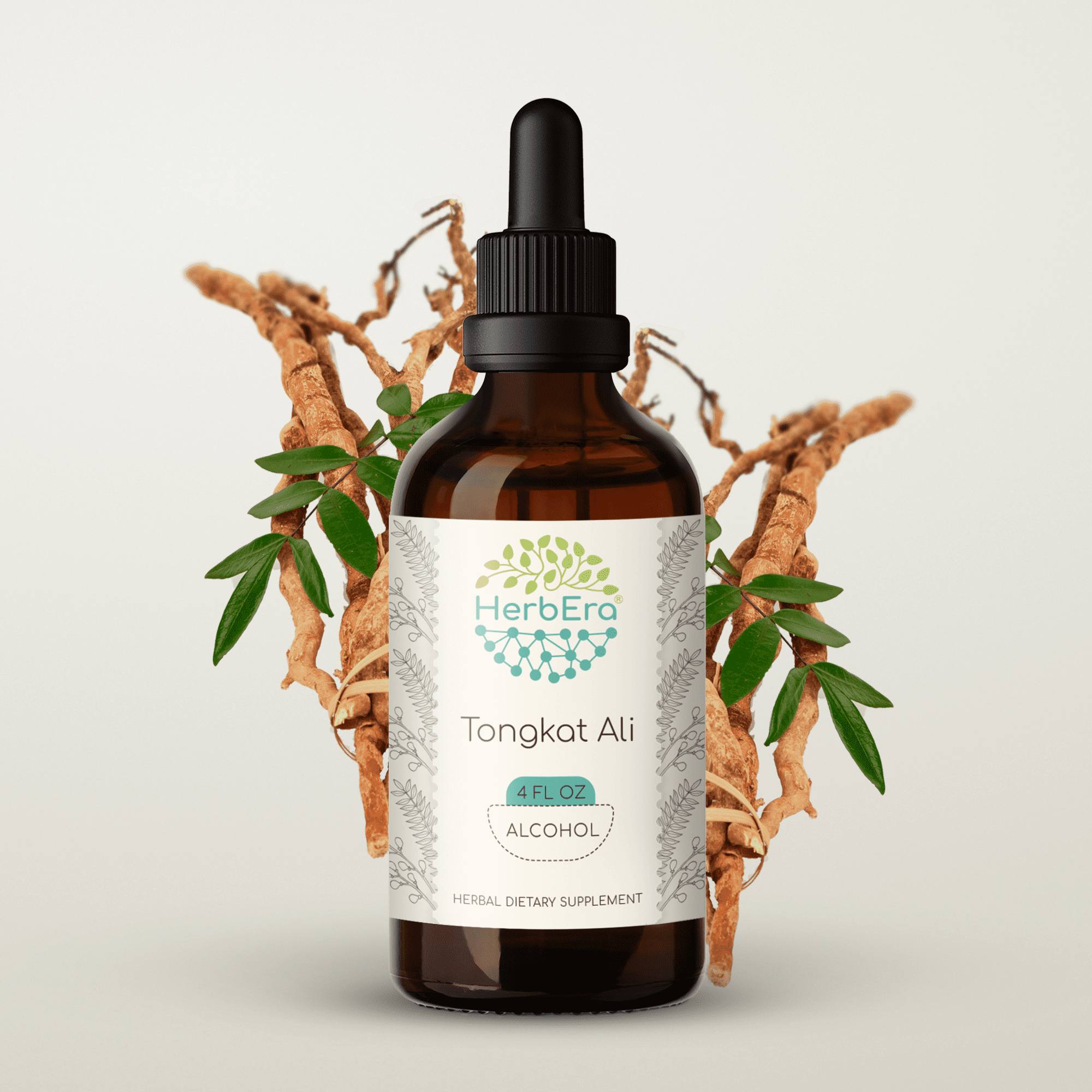 Tongkat Ali Alcohol Herbal Extract Tincture, Super-Concentrated Organic ...