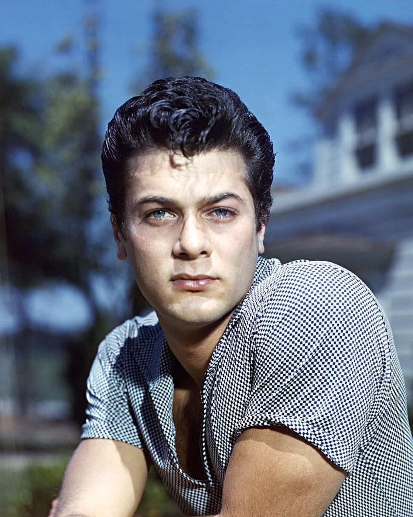 Tony Curtis Handsome Hollywood Portrait 1950's 24X36 Classic Hollywood ...