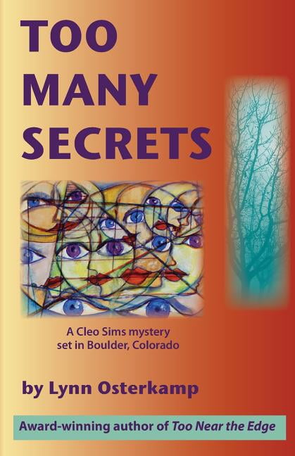 Too Many Secrets (Paperback) - Walmart Business Supplies