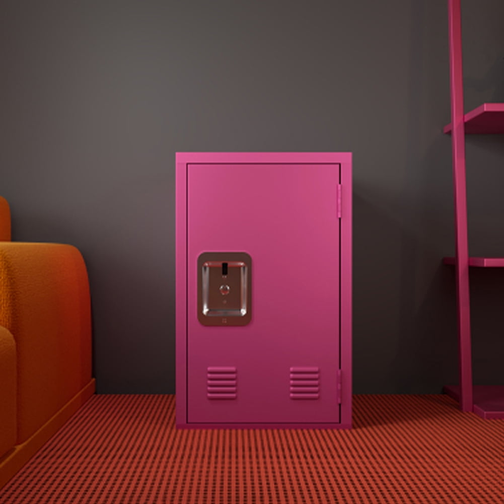 Tookss 24" H Locker Storage Cabinet With 1 Doors, Lockable Storage ...