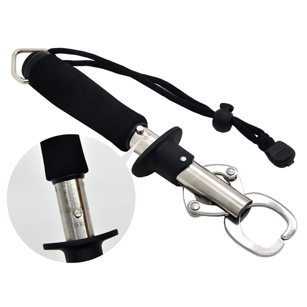 Tool Fish Lip Gripper Fish Scales Professional Fish Holder Stainless ...