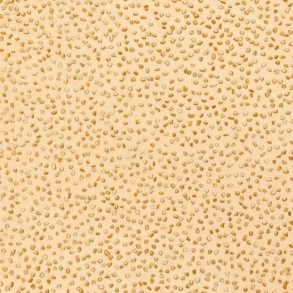 ToolPro - Grade Carbide Bit Stucco & EIFS Rasp – Saw Rasp for Efficient ...