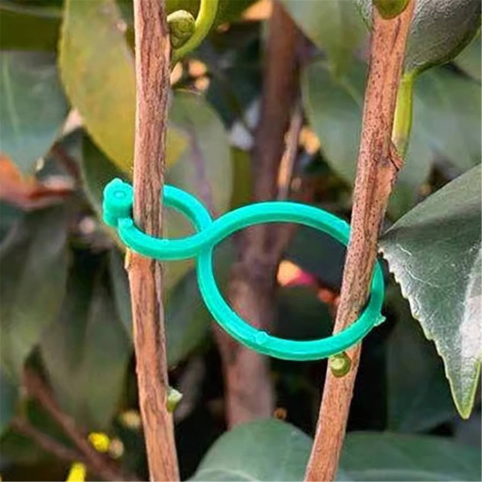 Toolix Clearance! 200 PCS Plant Support Clips Secured Plastic Plant ...