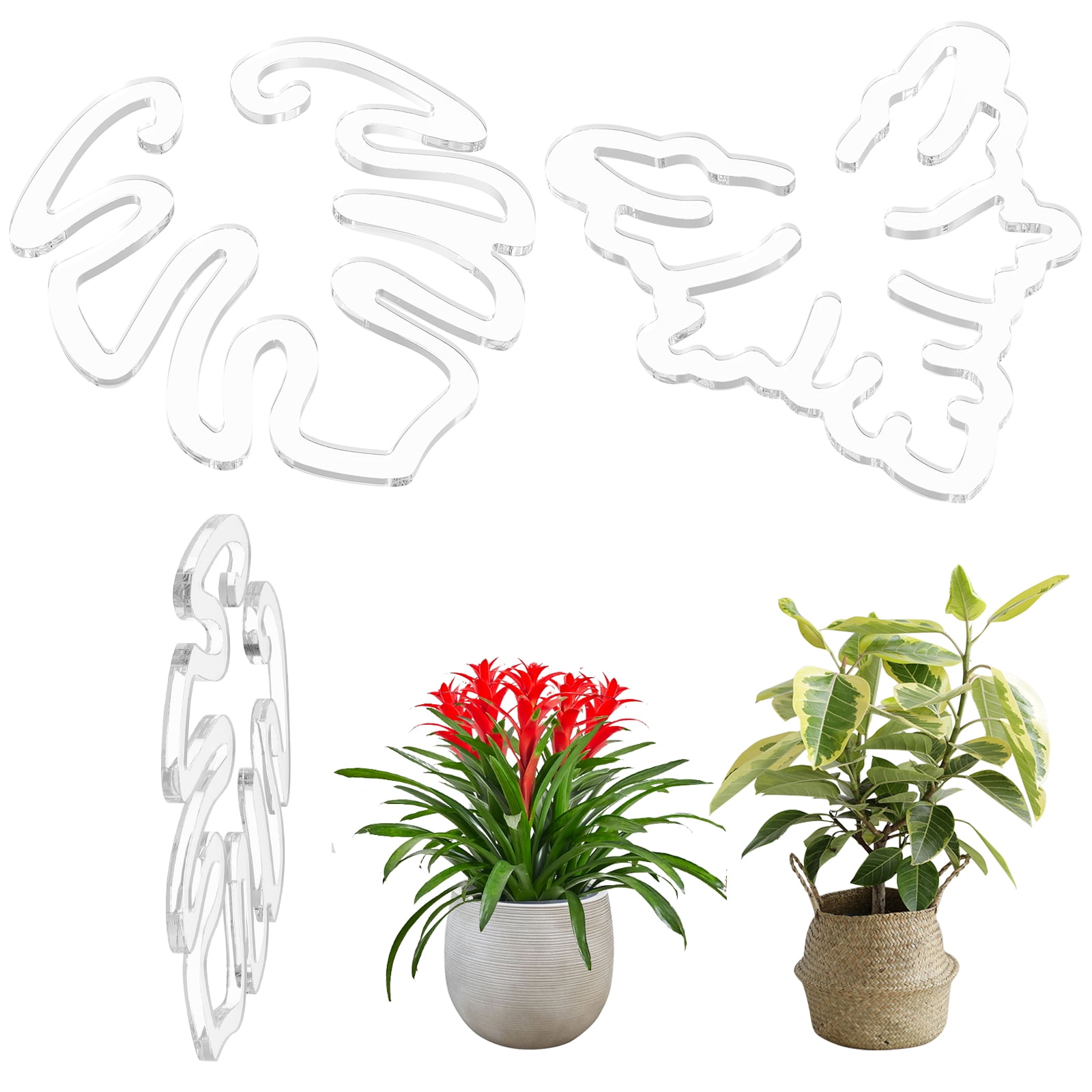 Toorise 2Pcs Enduring Flower Stem Holder Plant Friendly Flower Stem ...
