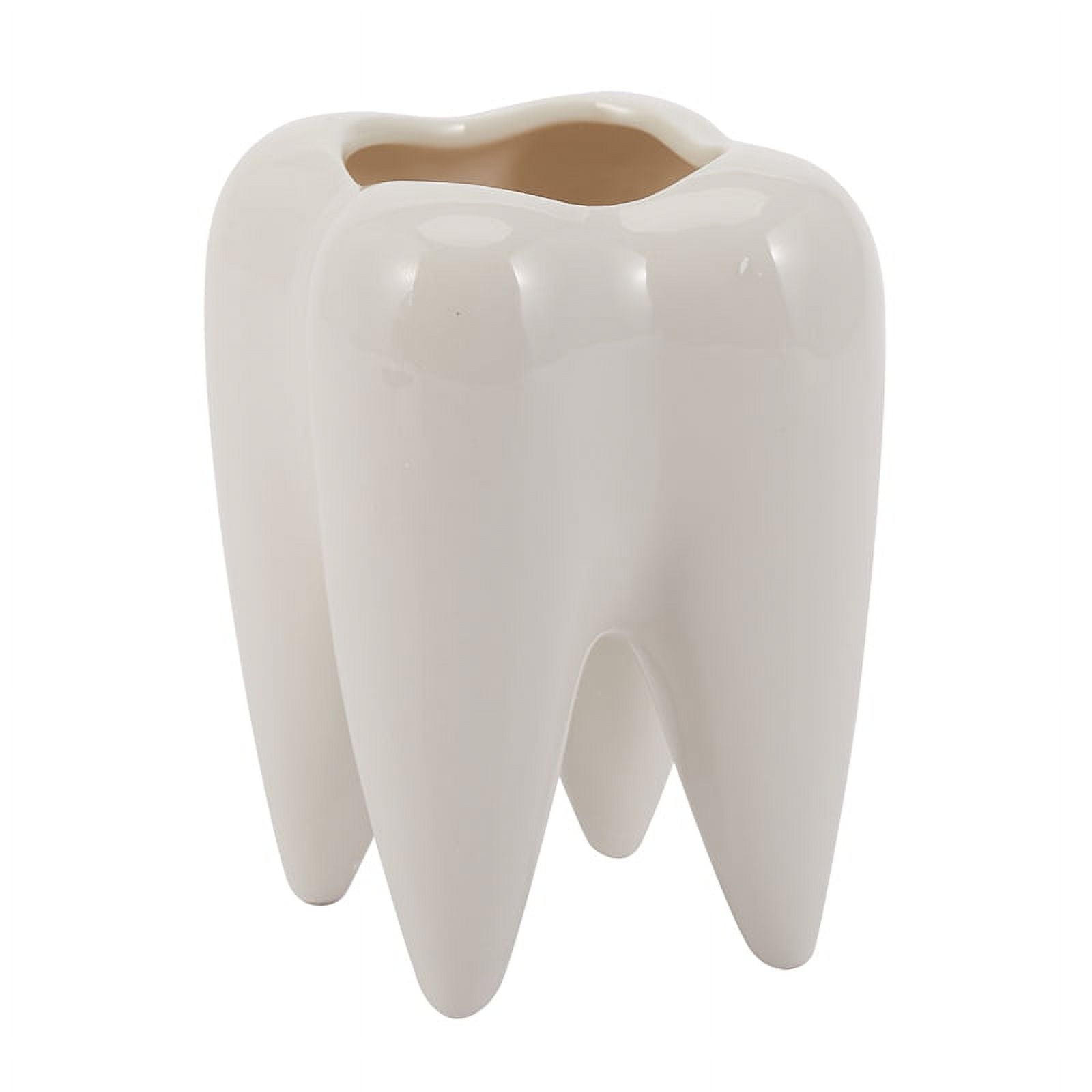 Tooth Shape White Ceramic Flower Pot Modern Design Planter Teeth Model ...