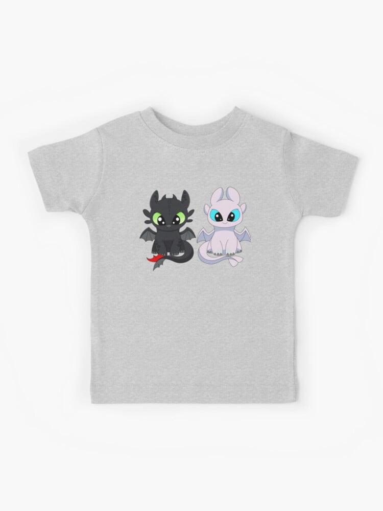 Toothless And Light Fury, How To Train Dragon/Designs For Men and Women ...