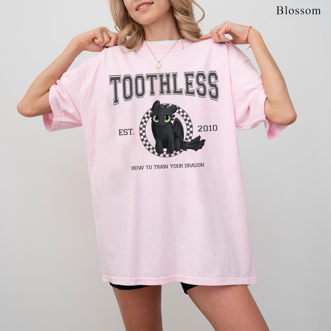 Toothless Dragon Shirt, Toothless Shirt, Toothless How to Train Your ...