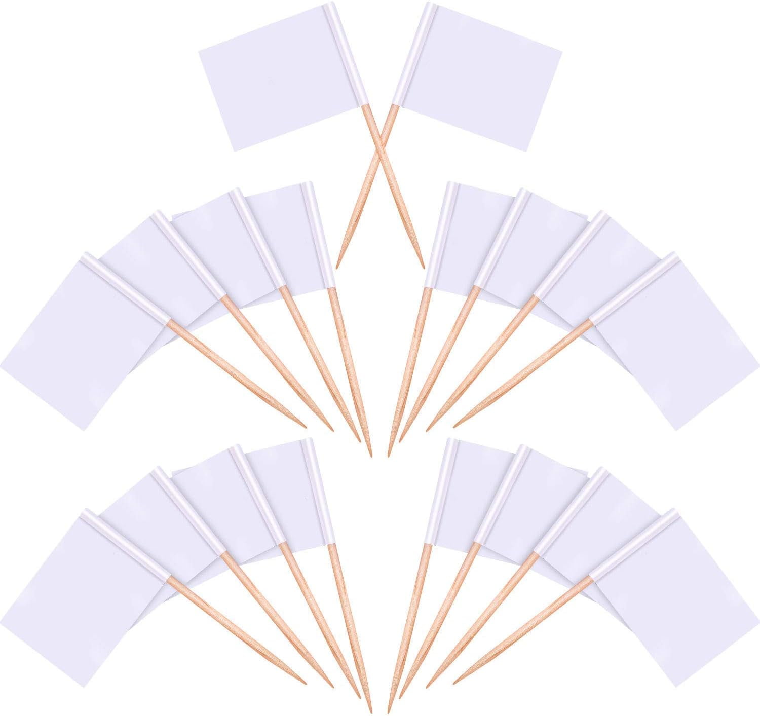 Toothpick Flags Blank,100 pcs White Flag Markers Small Toothpick Labels ...