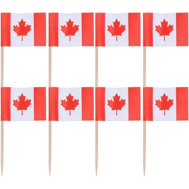 Toothpicks Wood 100pcs Flag Toothpicks, Flag Cupcake Toppers Mini Flags ...