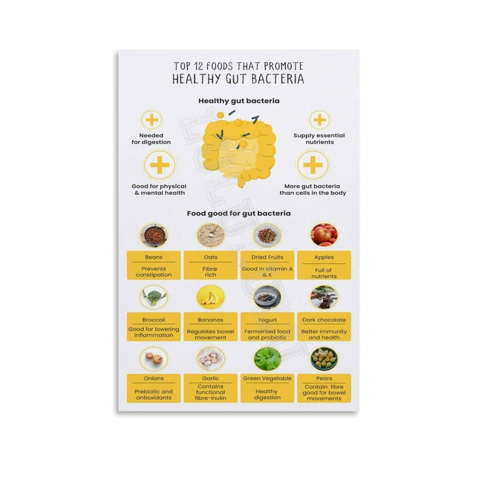 Top 12 Foods That Promote Healthy Gut Bacteria Poster Canvas Painting ...