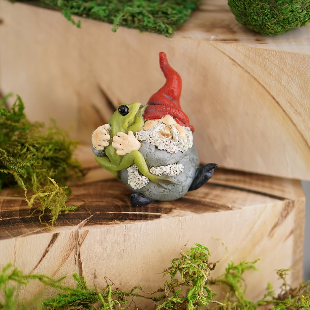 Top Collection Miniature Fairy Garden Garden Gnome Hugging Frog ...