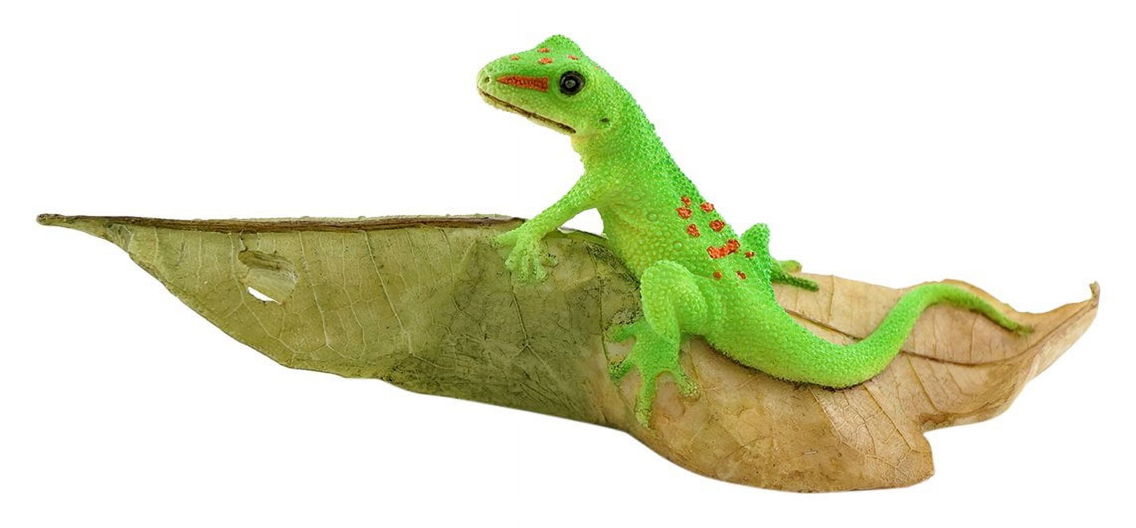 Top Collection Miniature Fairy Garden and Terrarium Day Gecko on Leaf ...