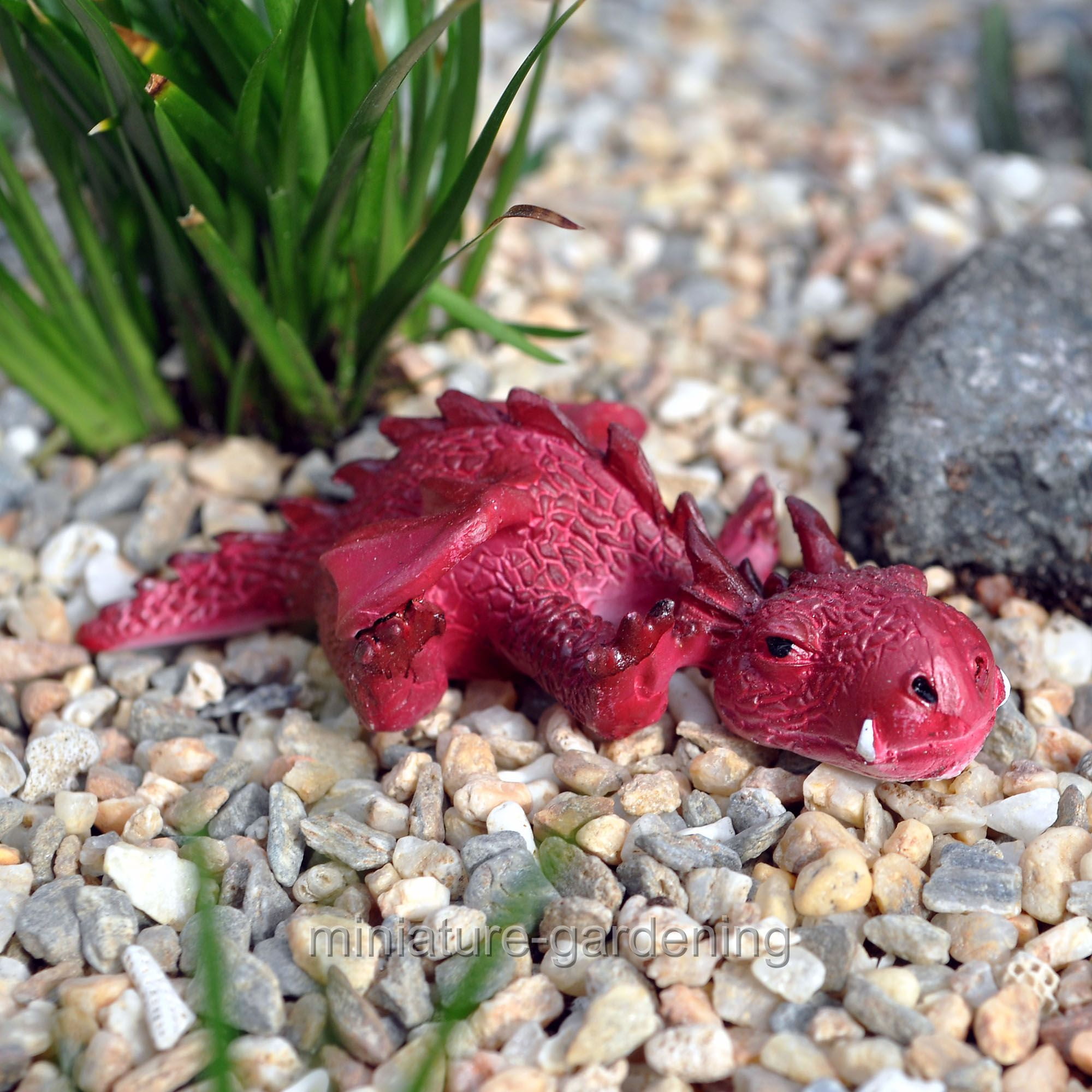 Top Collection Miniature Fairy Garden and Terrarium Sleeping Mini ...