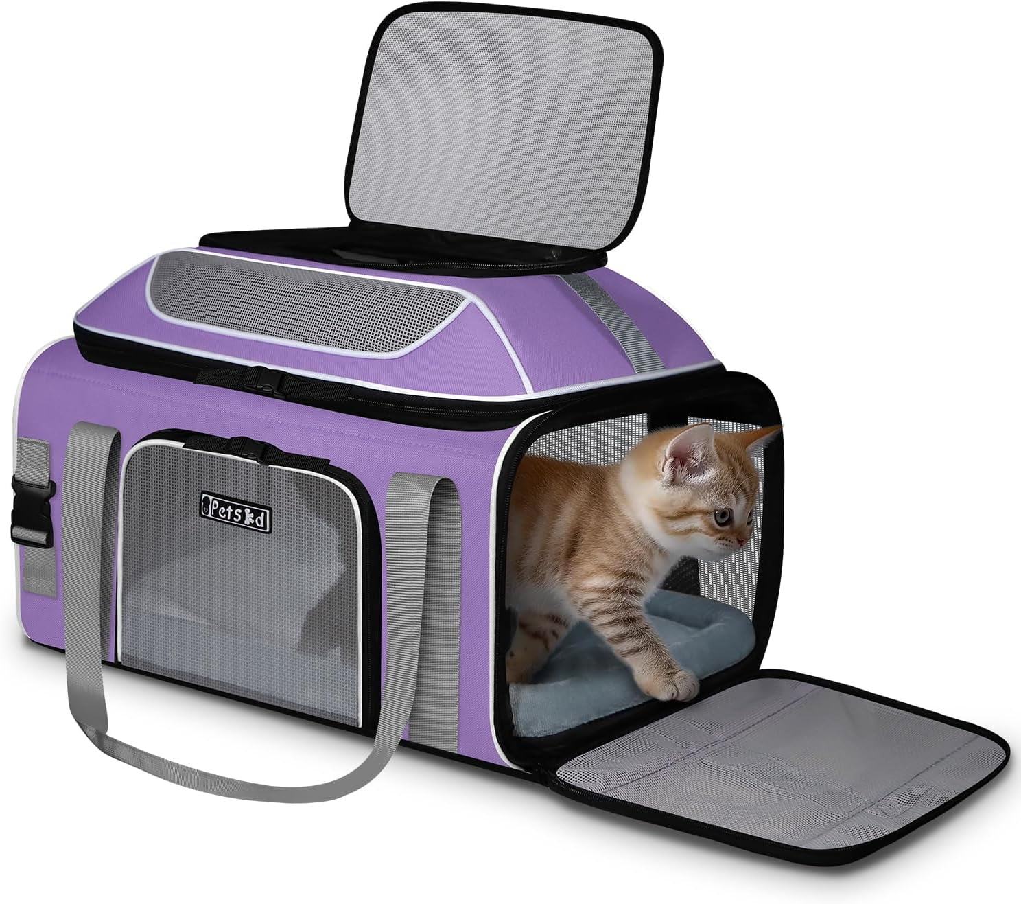 Top-Expandable Pet Carrier 19x13x9 Inches Southwest Allegiant Airlines ...