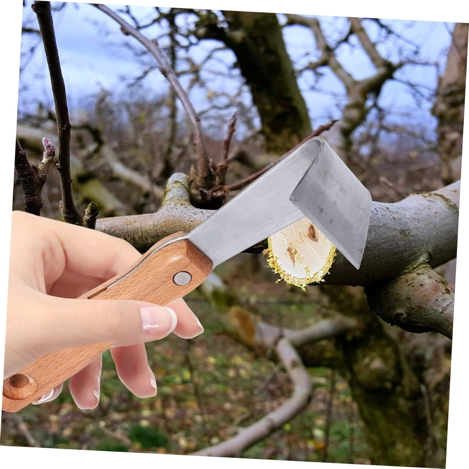 Top-Notch Premium Durable Handheld Bark Knives for Easy Log Maintenance ...