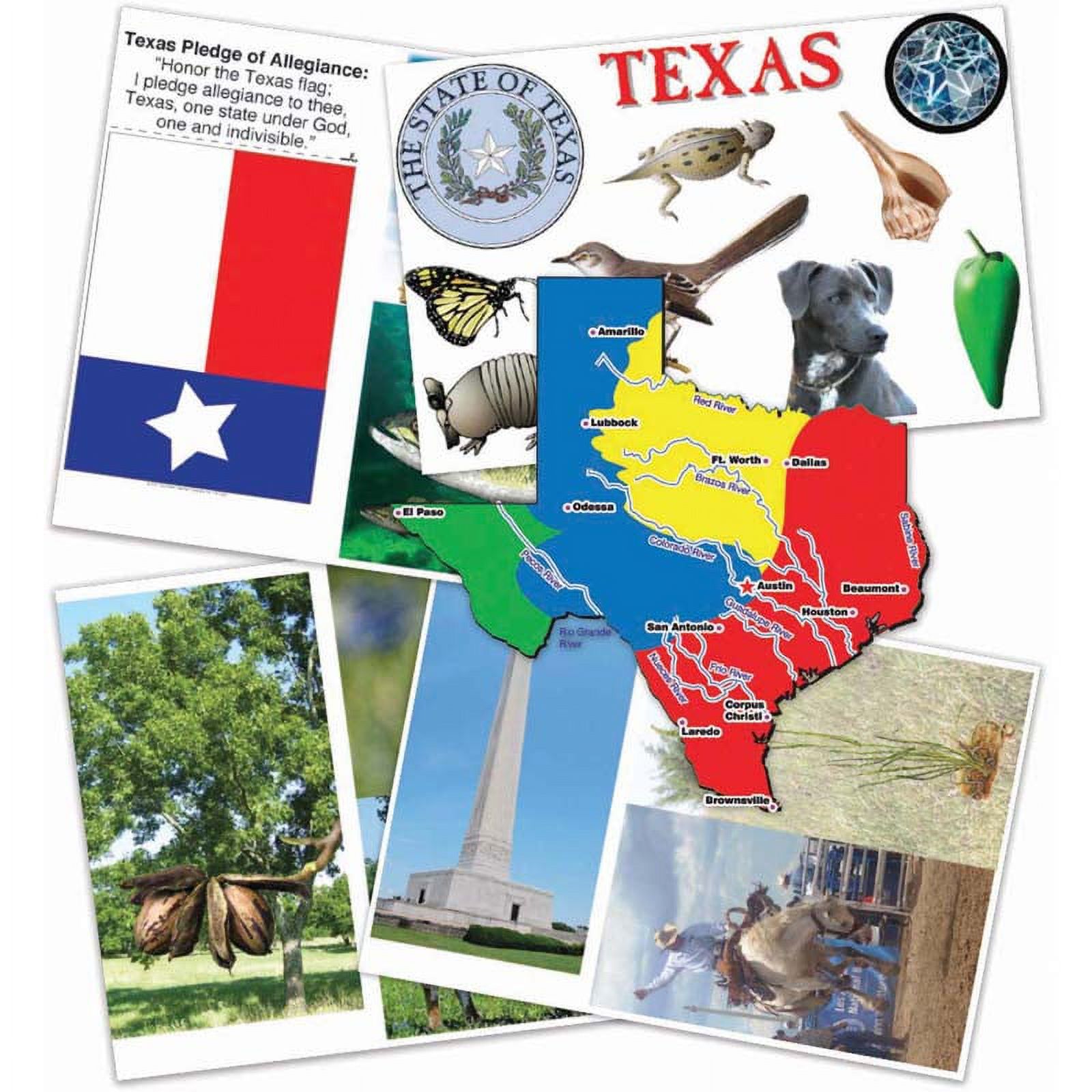 Top Notch Teacher Products Texas Bulletin Board Set - Walmart.com