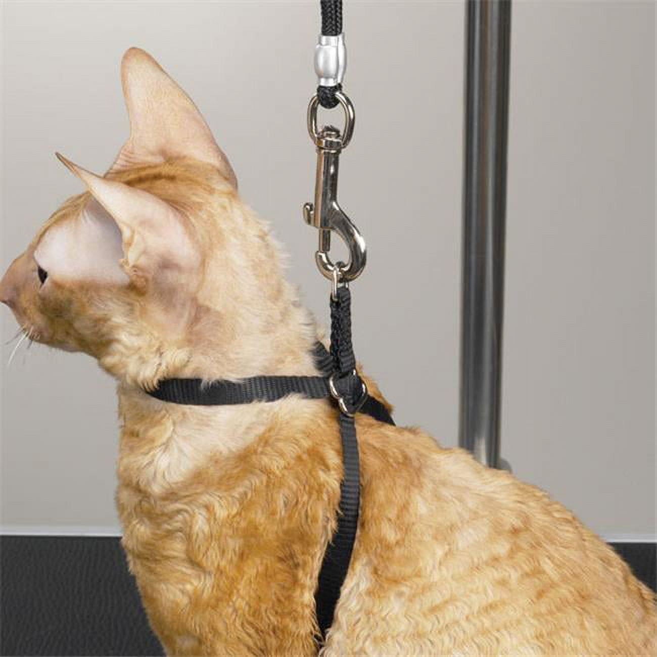 Top Performance Adjustable Nylon Cat Harness - Walmart.com