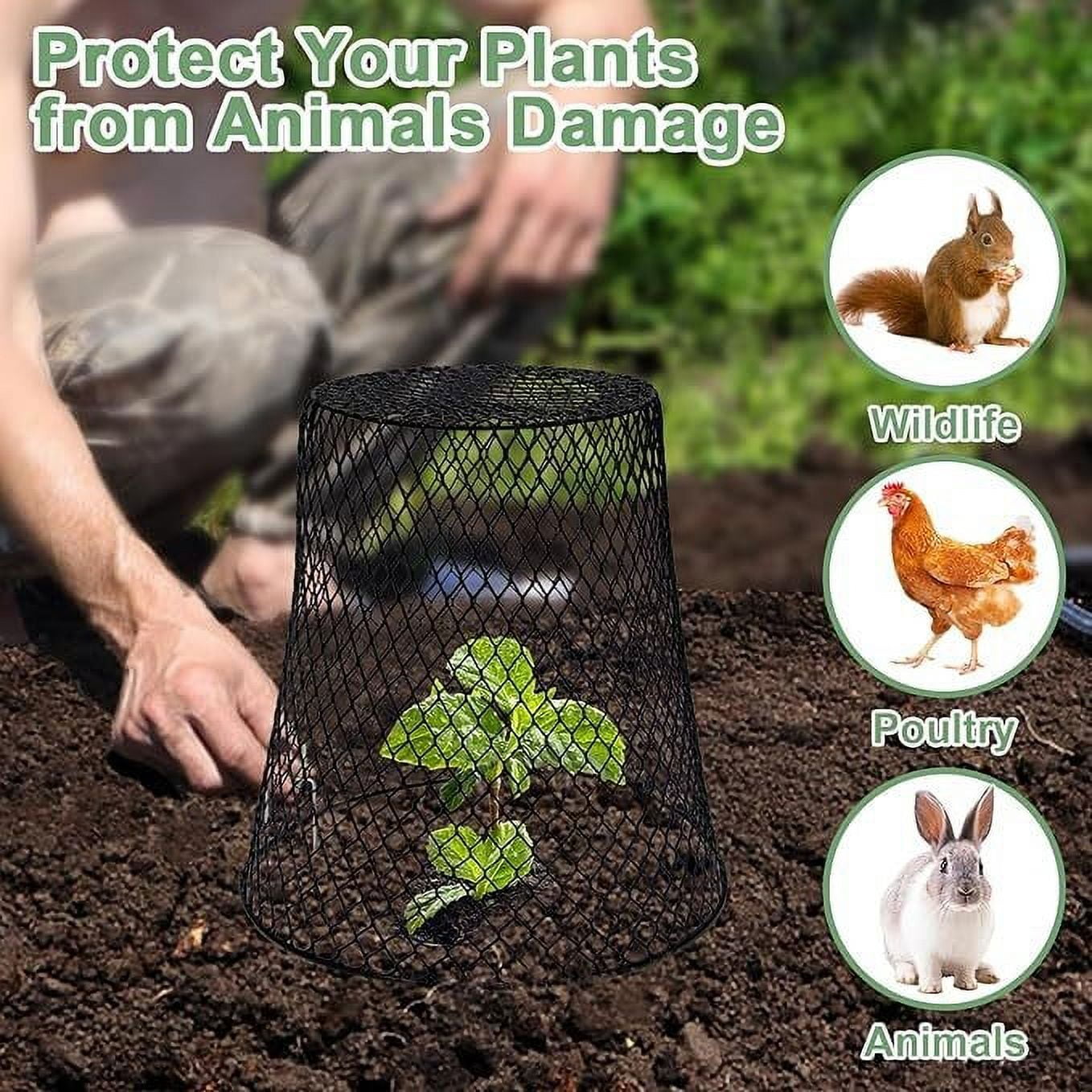 Top Pick, Iron Plant Protective Cover Garden Ceiling Vegetable Cage for ...
