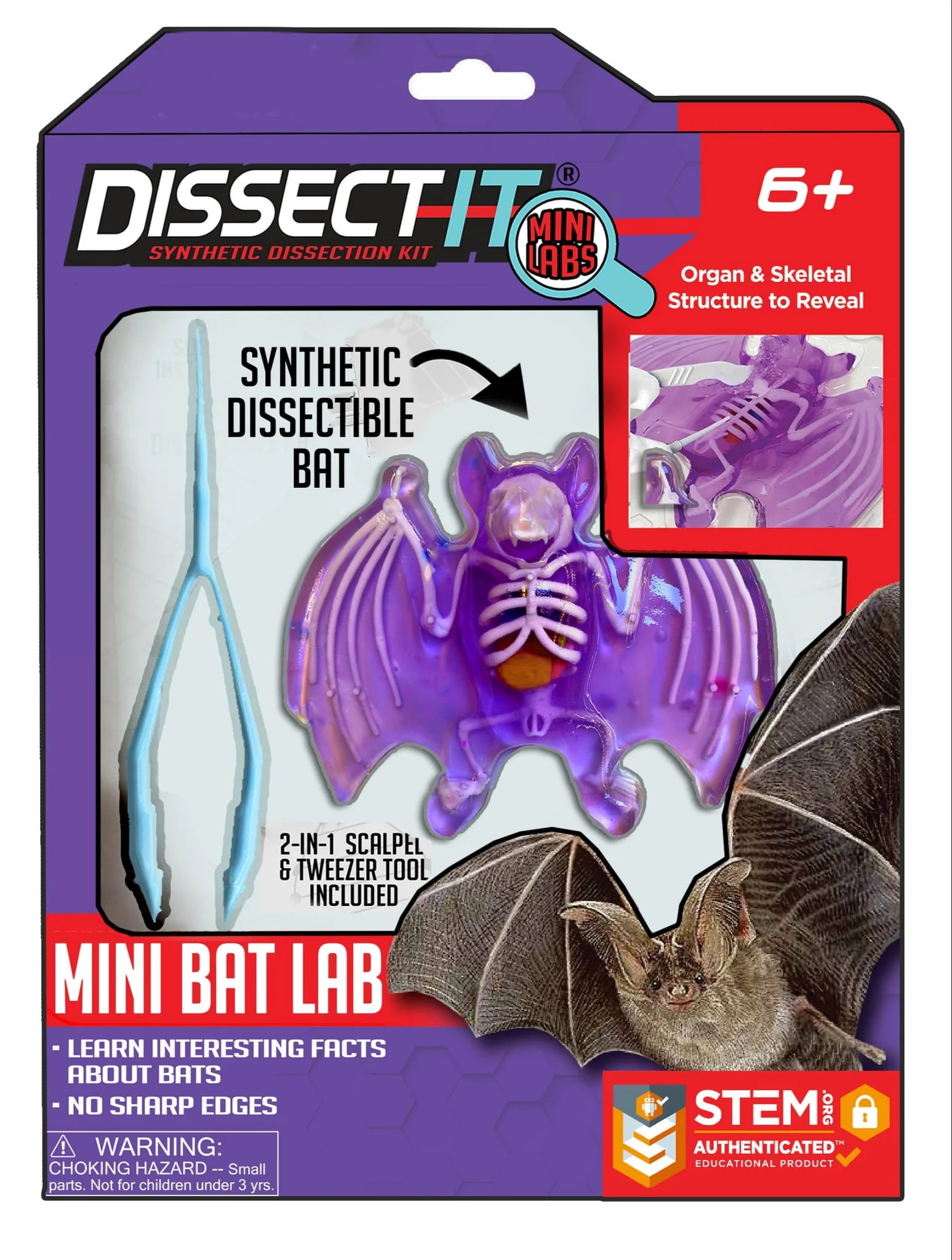 Top Secret Toys - Dissect It: A Synthetic Bat Dissection Kit, MINI ...