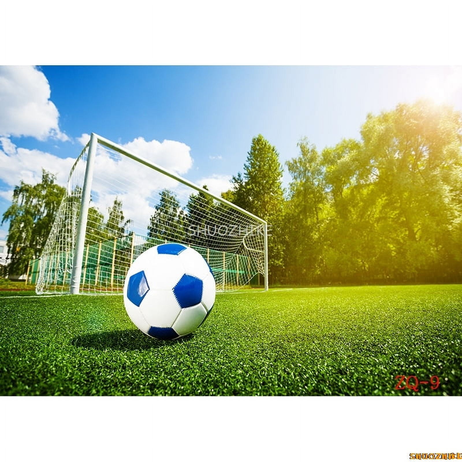 Top View Of Football Field With White Lines And Grass Photography ...