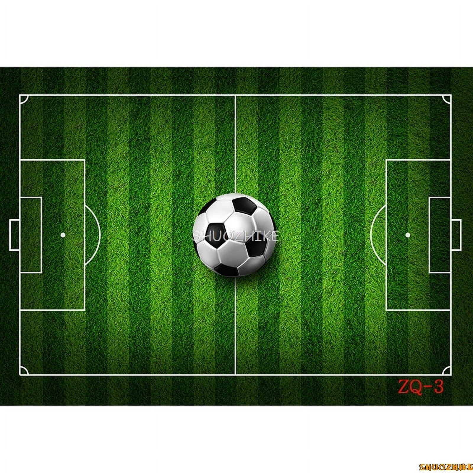Top View Of Football Field With White Lines And Grass Photography ...