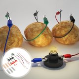 Topbathy 1 Set Potato Clock Experiment Science Kit for Student ...