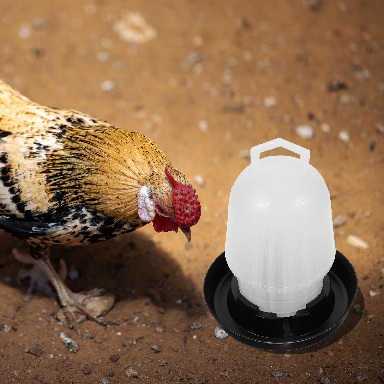 Topbathy Chick Water Storage Bucket Chicken Feeder Waterer Easy Install ...