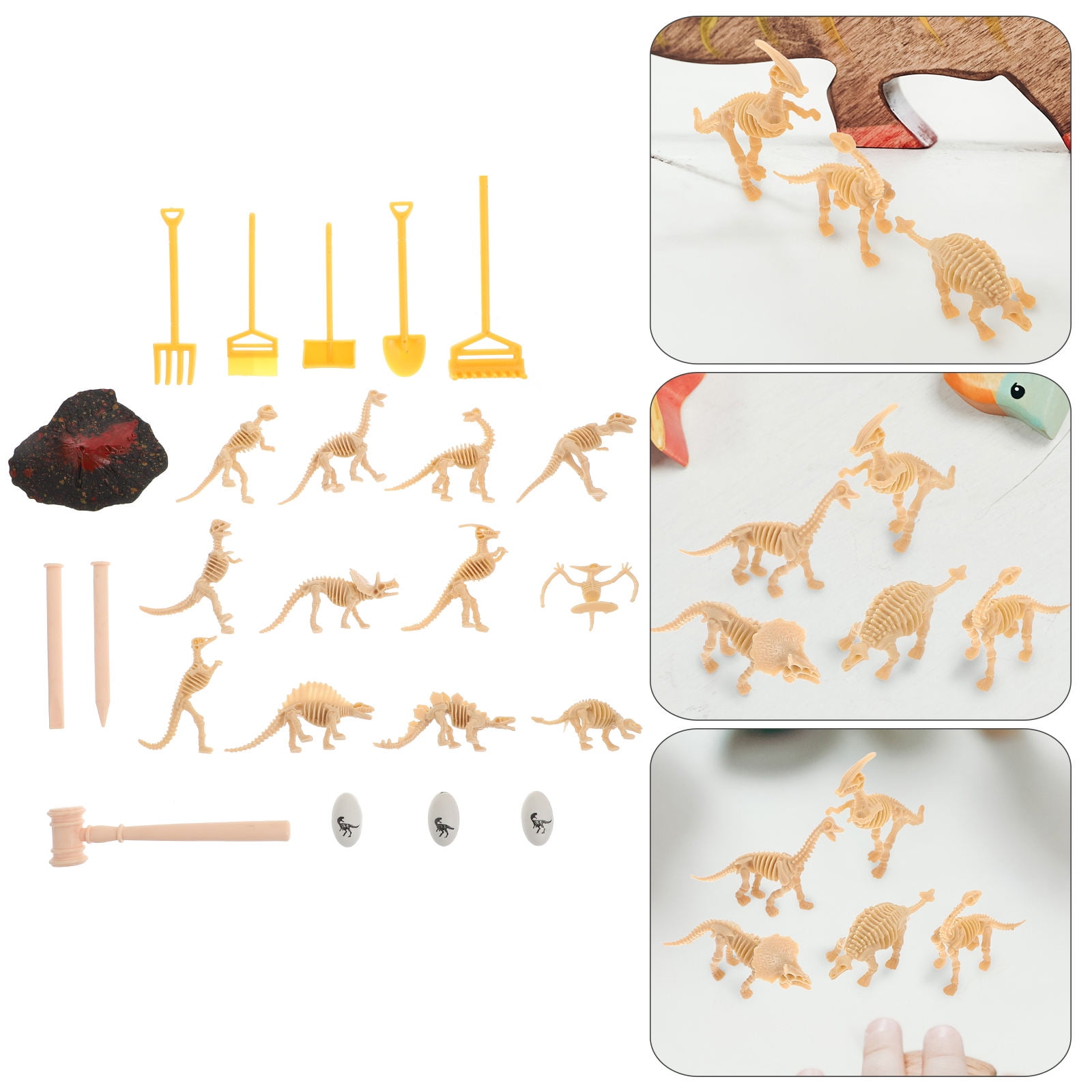 Topbathy Dino Bones Dinosaur Skeletons Figurines Tiny Dinosaur Figures ...