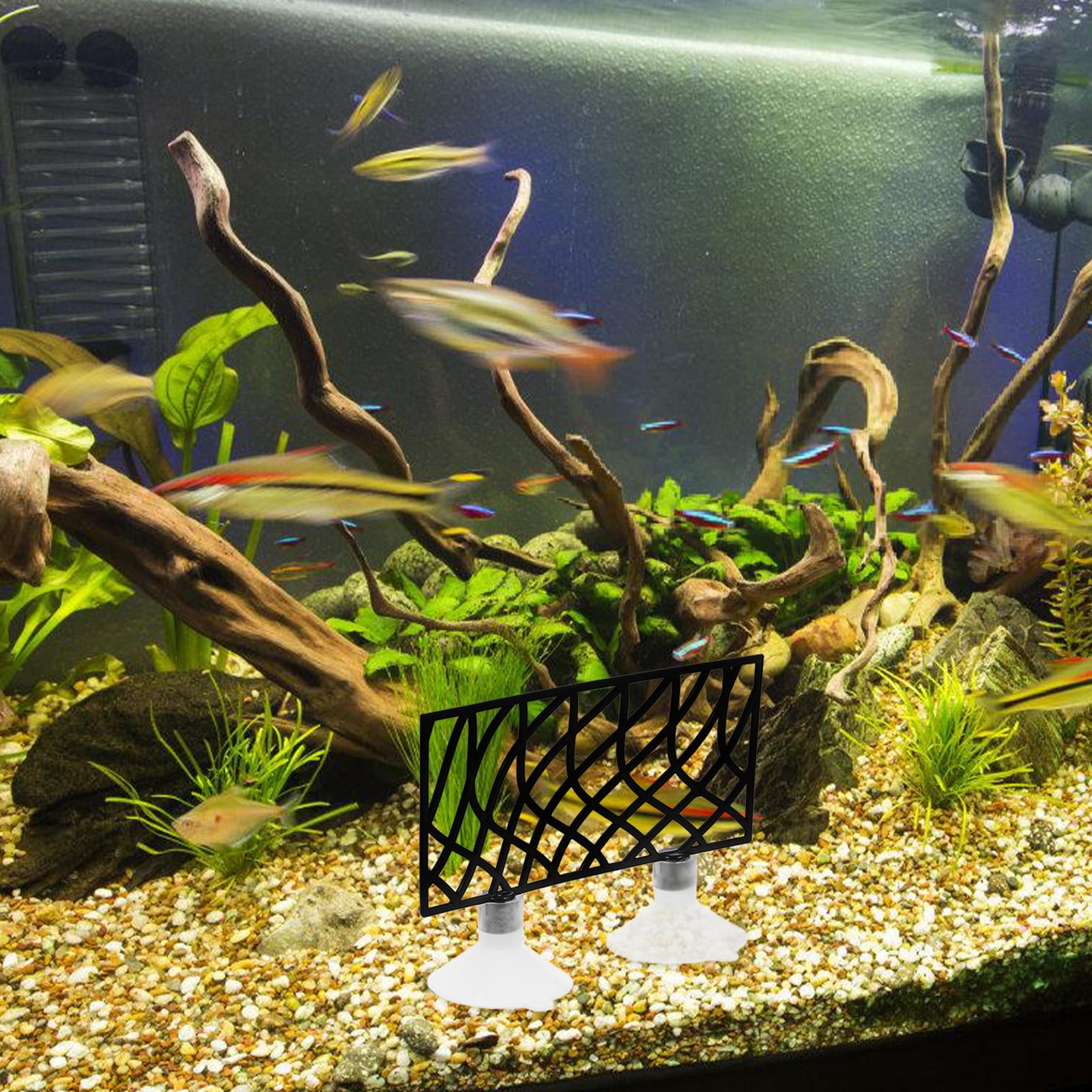 Topbathy Fish Tank Tunnel Resting Spot Hiding Place Betta Fish Tube Aquarium Decorations 10X6 ...