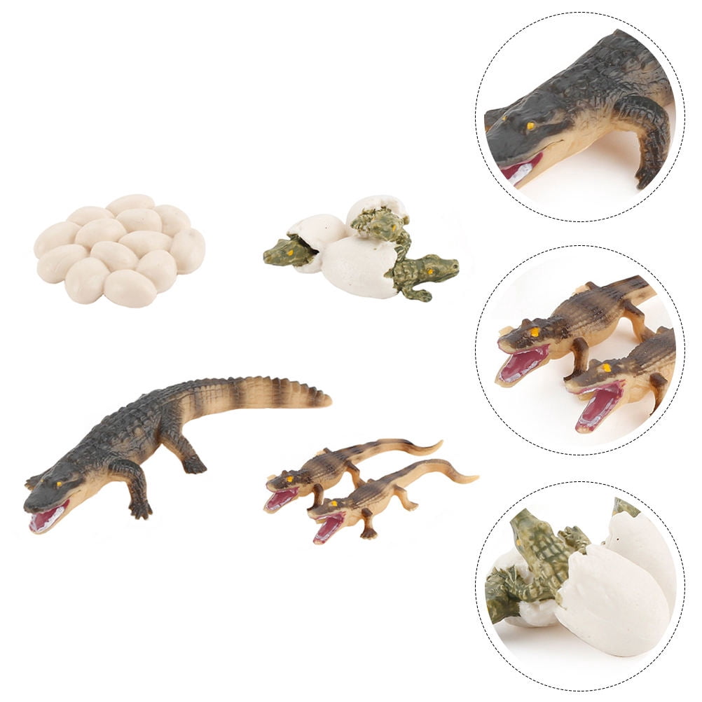 Topbathy Mini Alligator Toys 2pcs Growth Educational Plaything ...