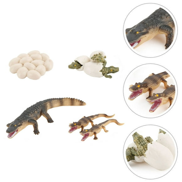 Aligator Toys