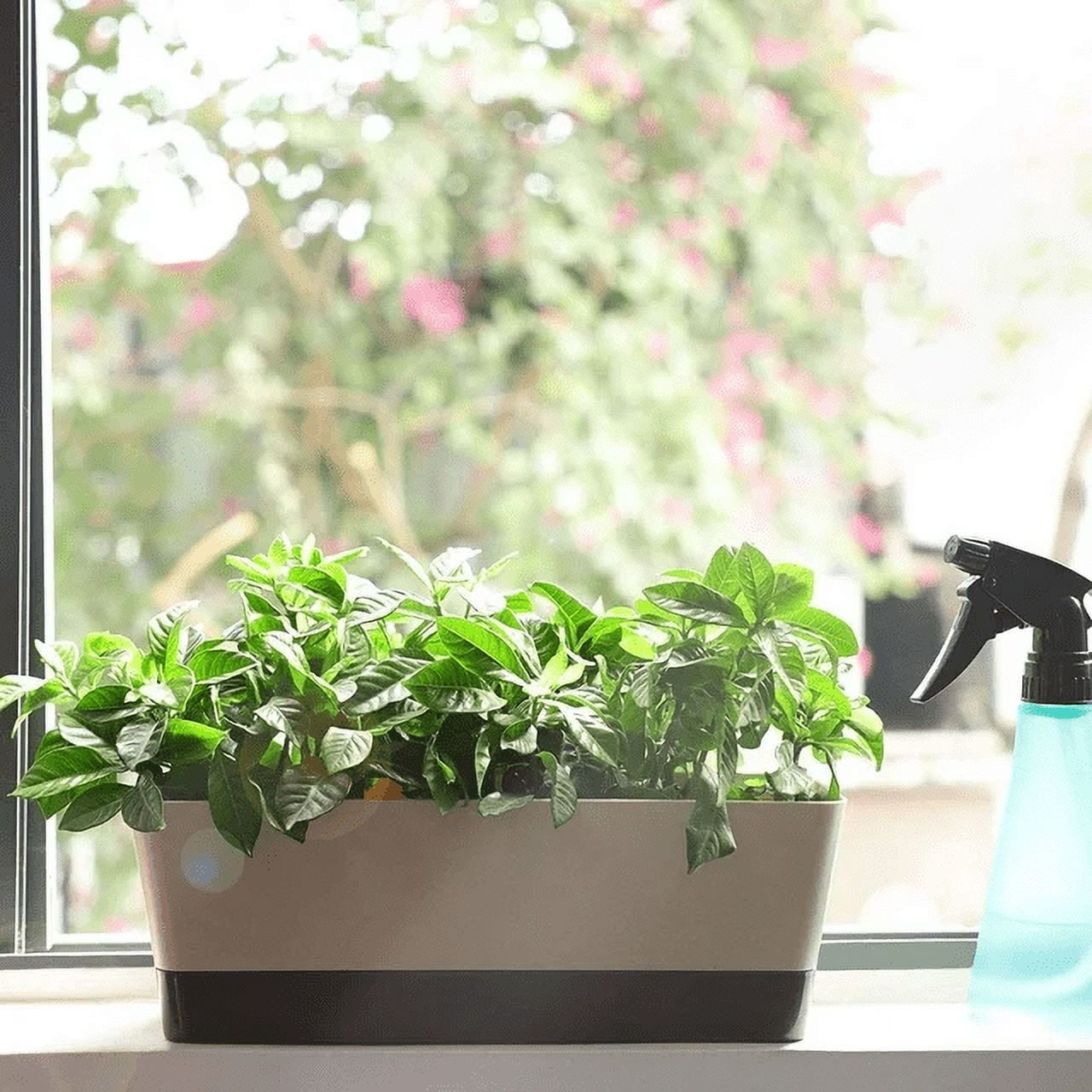 Topboutique 12 Inches Flower Box Plastic Vegetable Planters with Trays ...