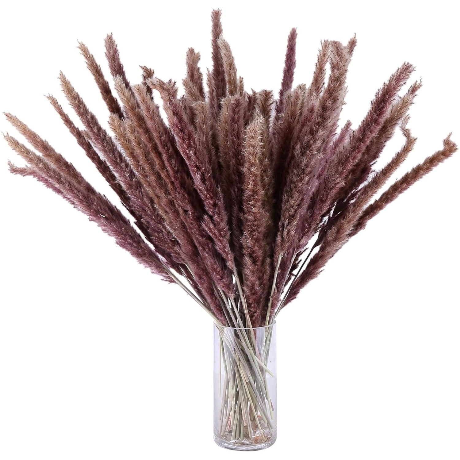 Topboutique Dried Brown Reed Grass,17"Dried Flowers Bouquet,Boho Home ...