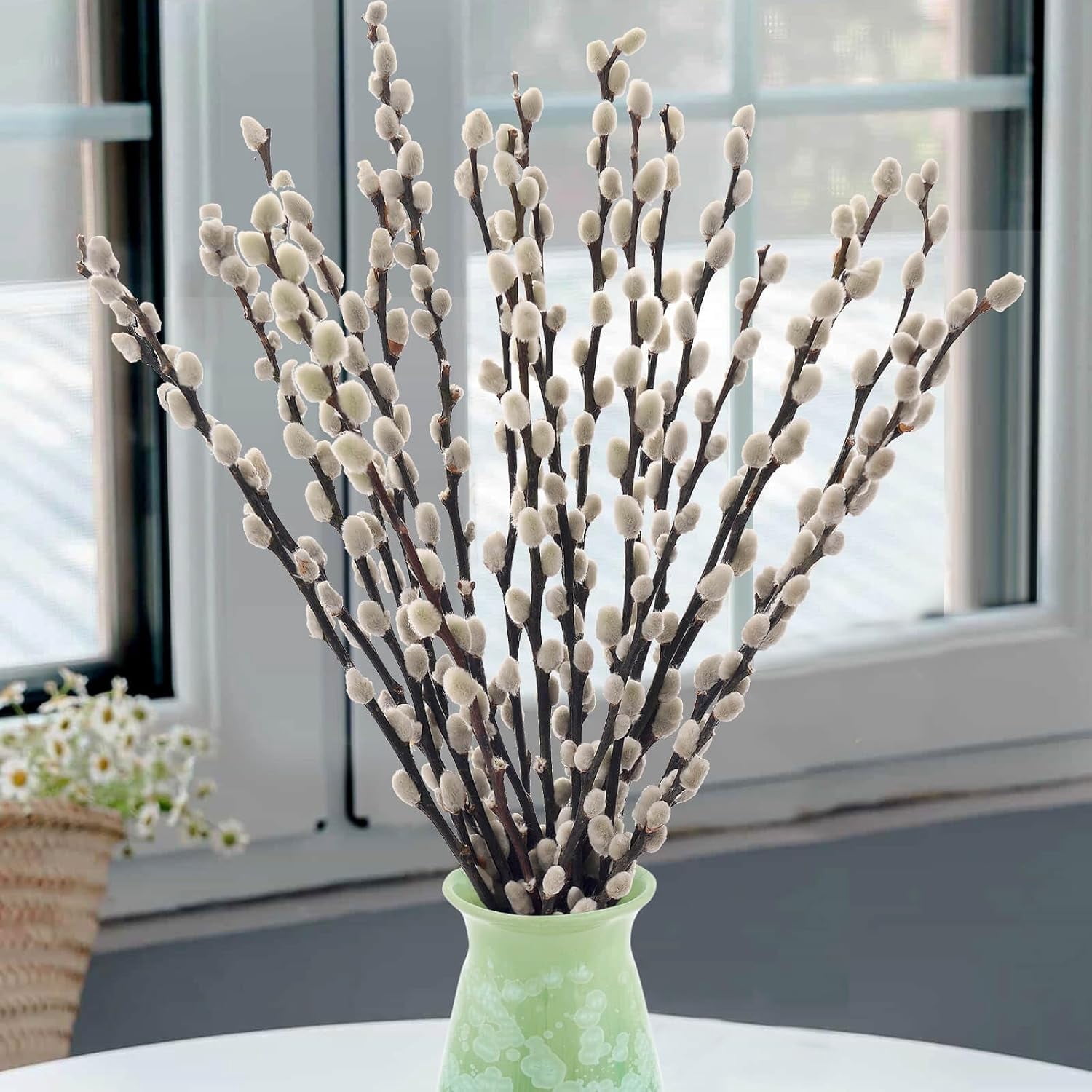 Topboutique Dried Pussy Willow Branches 20 Pcs 12 inch Natural Willow ...