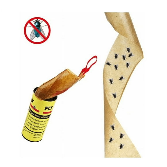 Fruit Fly and Gnat Traps in Fly - Walmart.com